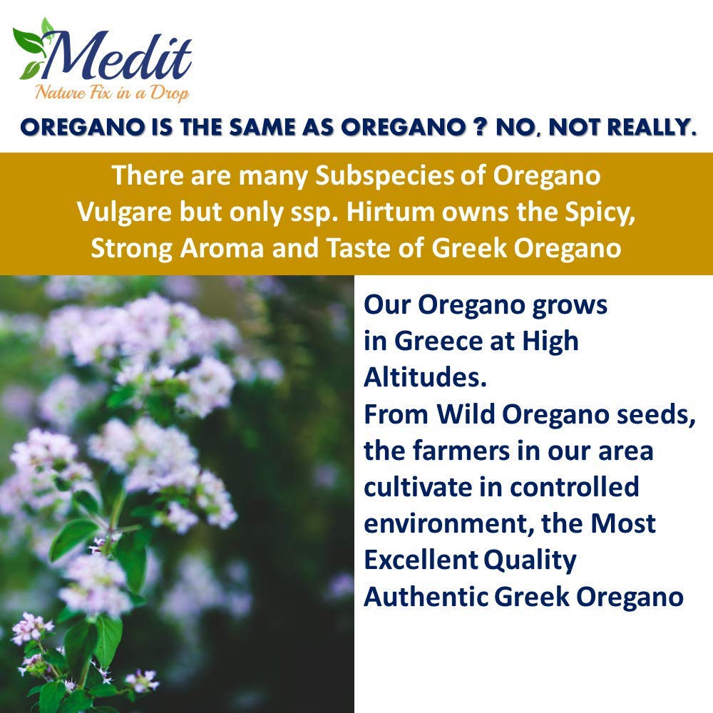 oregano oil for respiratory health