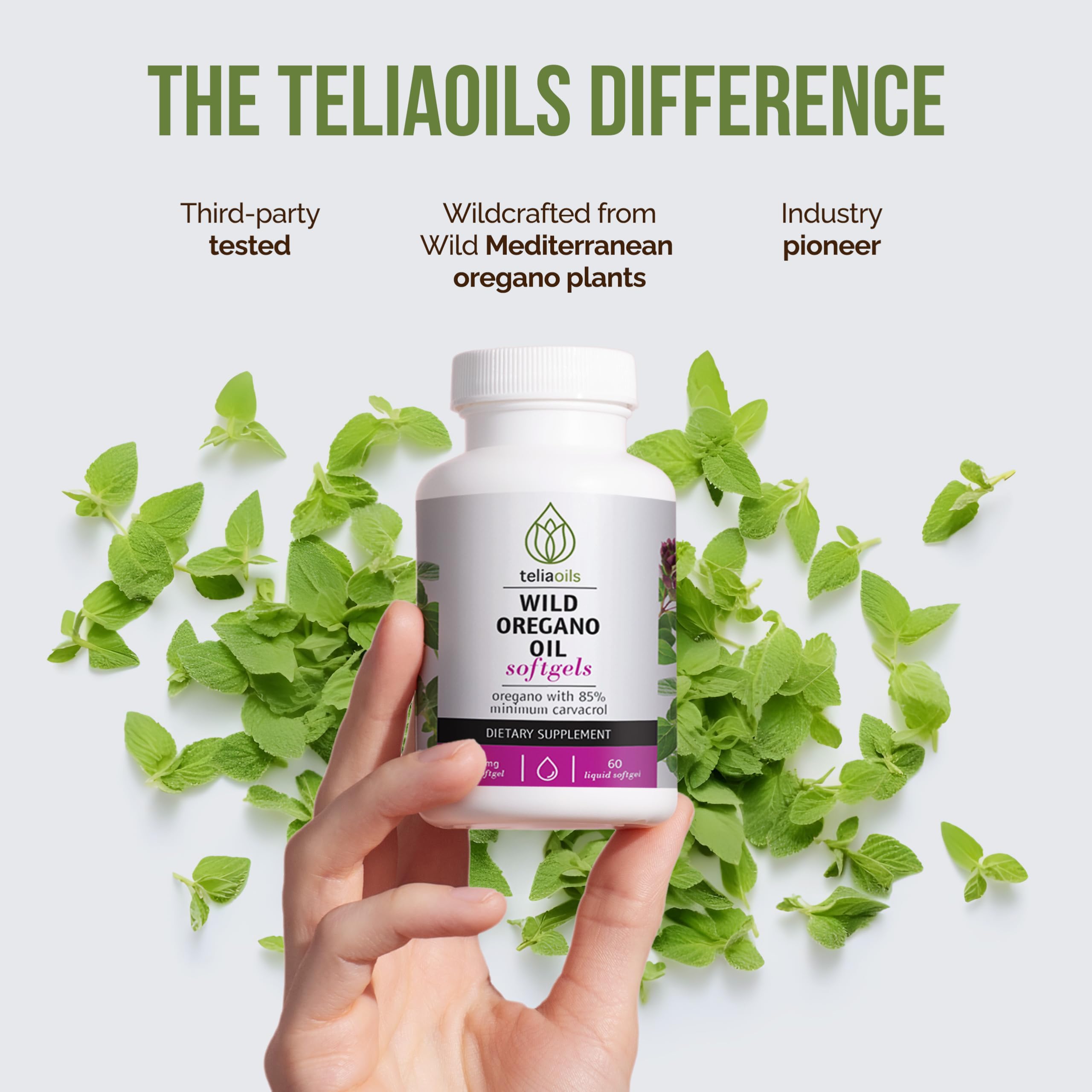 Oregano oil for seasonal wellness