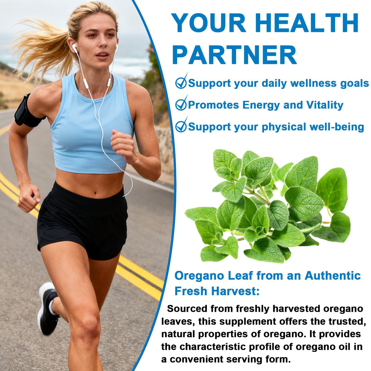 oregano oil for wellness