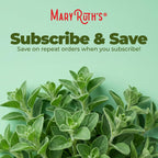 oregano oil softgels for digestion