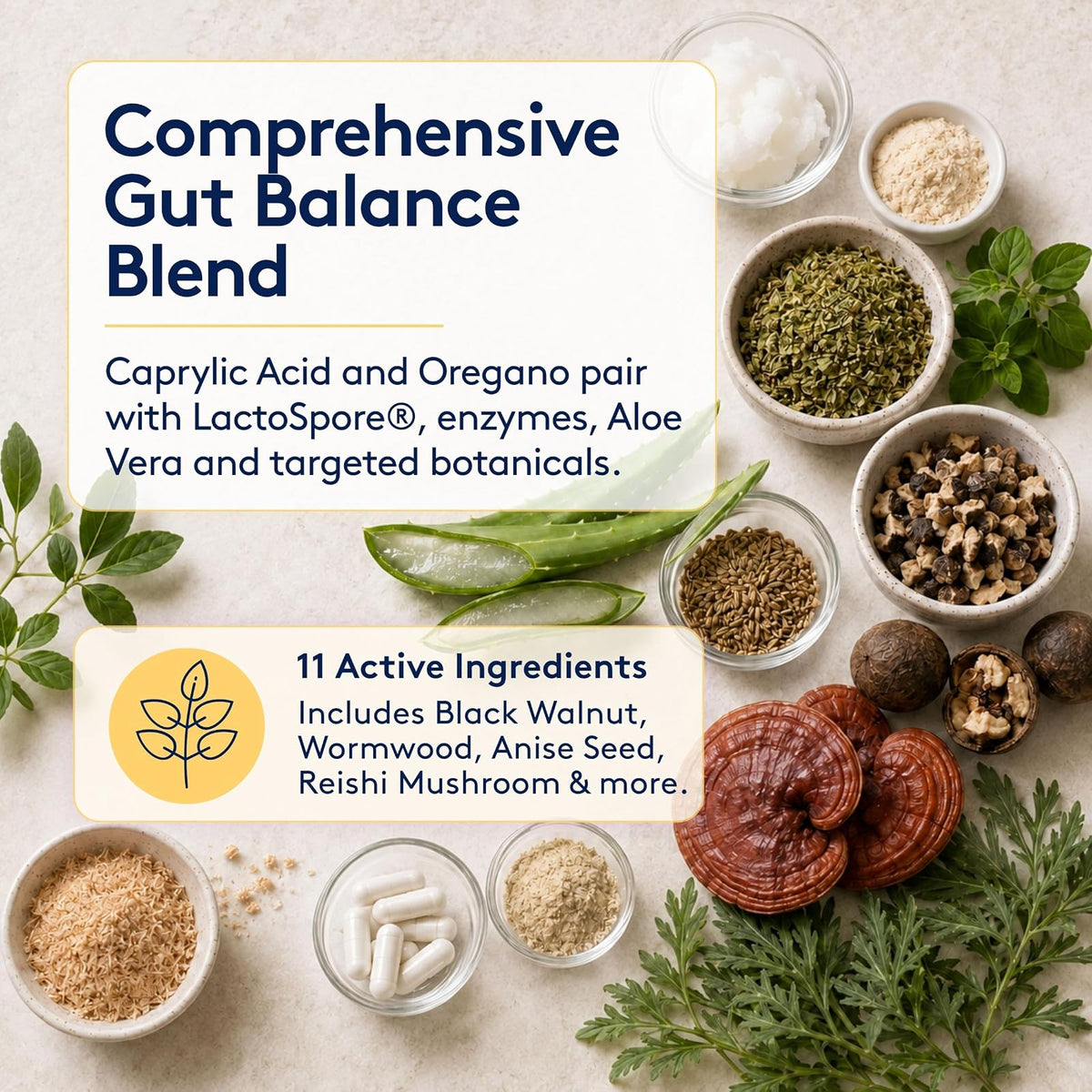 oregano oil softgels for digestion