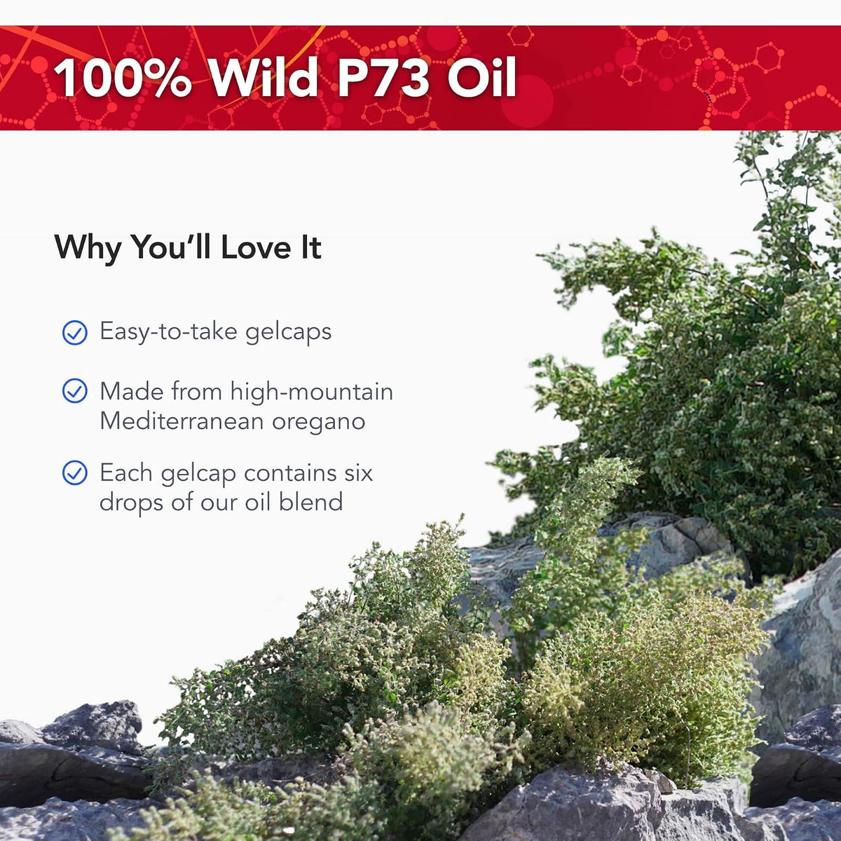 oregano oil softgels for digestive health