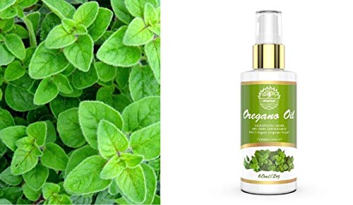oregano oil spray for everyday use