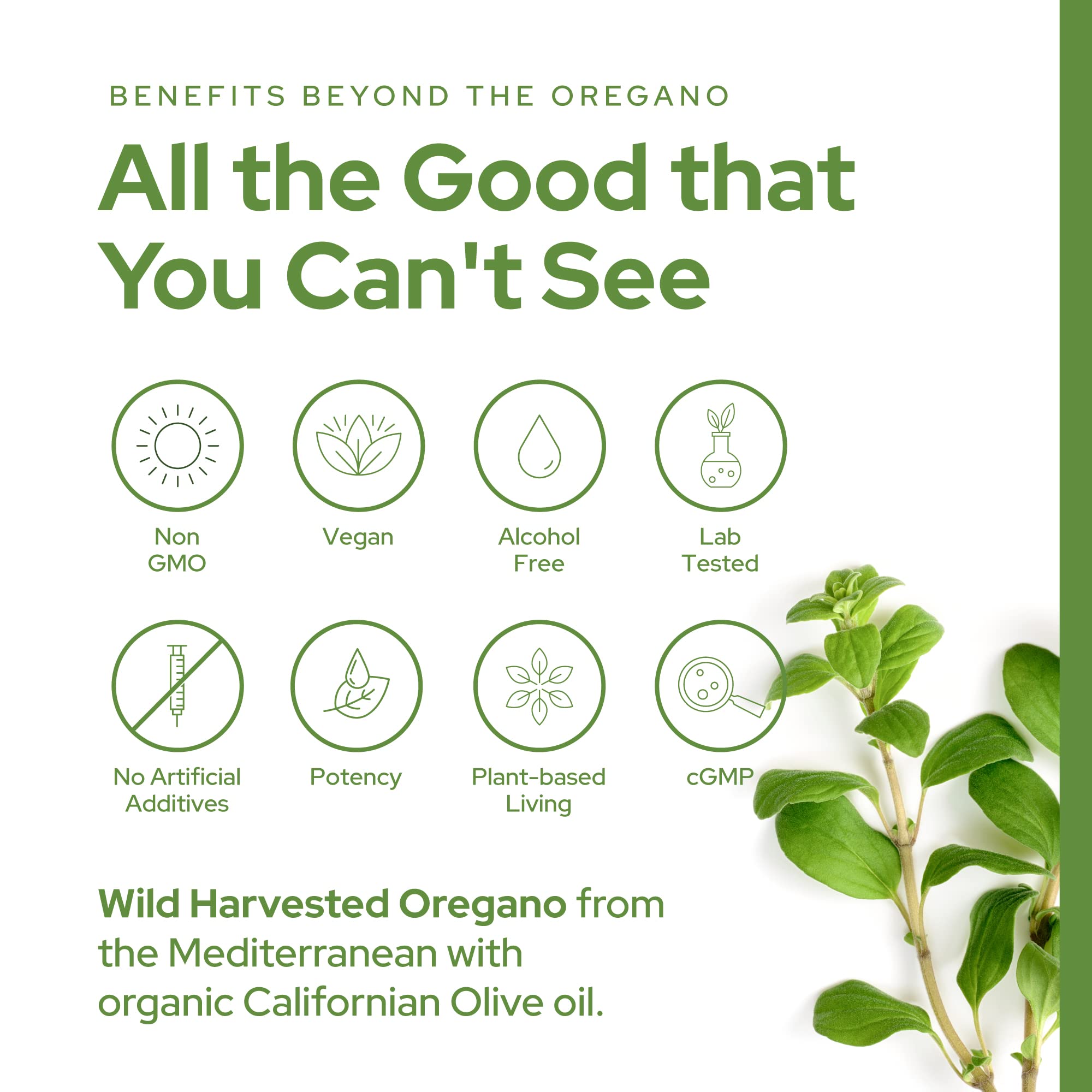 oregano oil with black seed oil