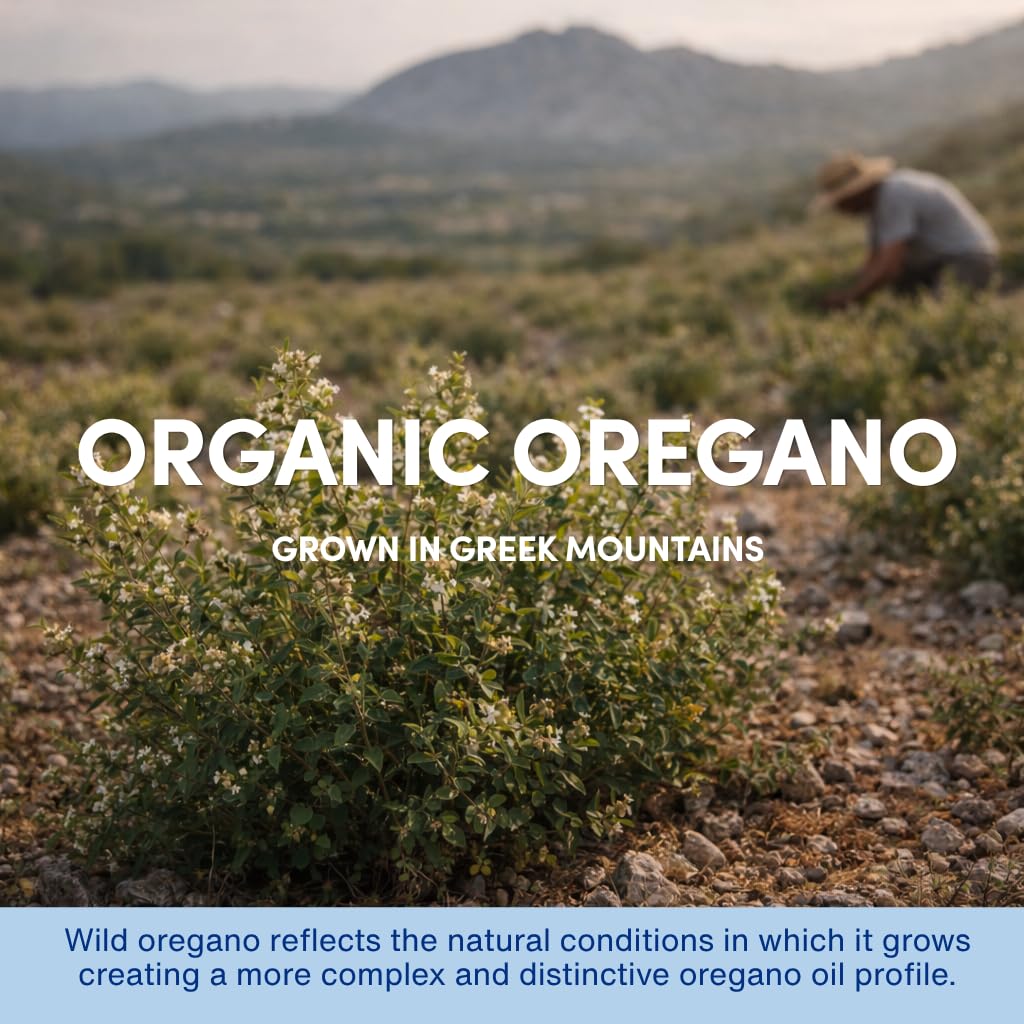 oregano oil with black seed oil