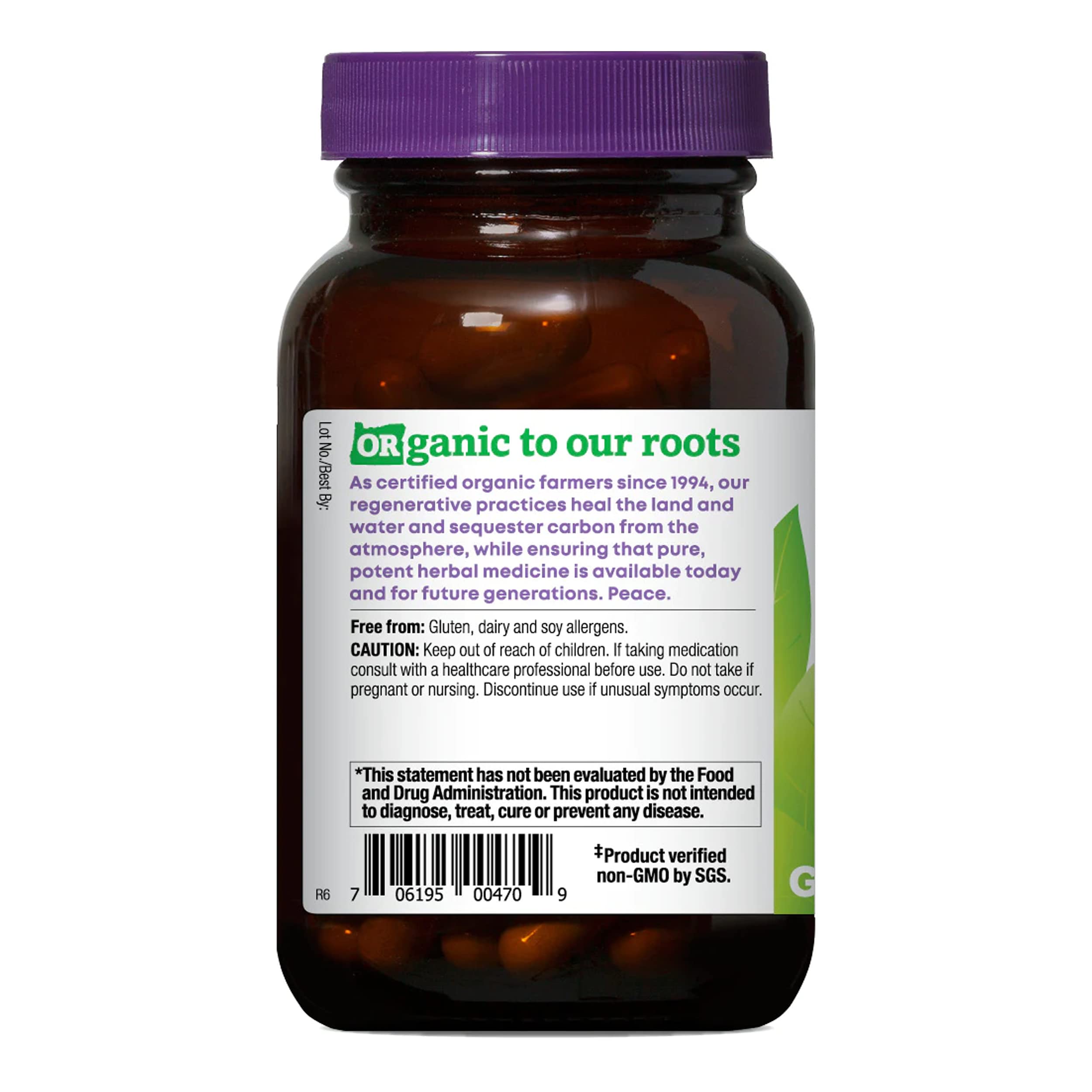 Oregon's Wild Harvest ginkgo biloba benefits