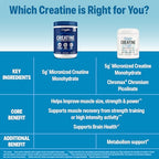Orgain creatine for performance enhancement