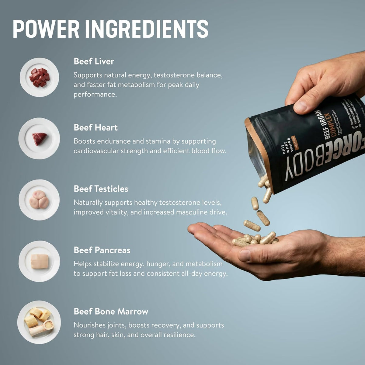 Organ complex supplement for energy boost