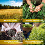 Organic agrimony tea bags for everyday use