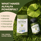 organic alfalfa for daily wellness