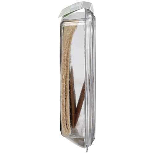organic alfalfa growing kit