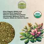 organic alfalfa leaf for digestion