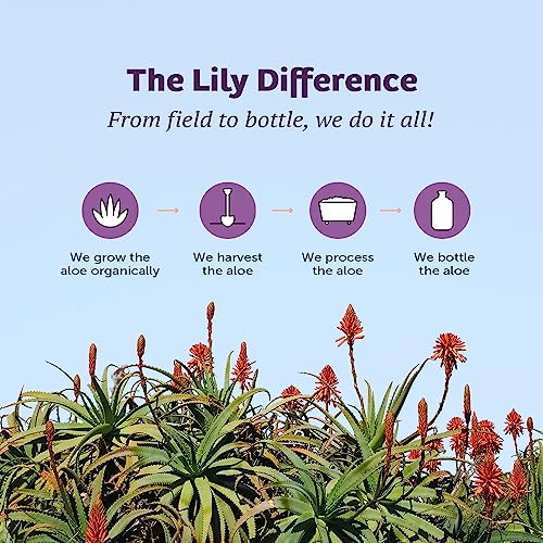organic aloe vera juice Canada