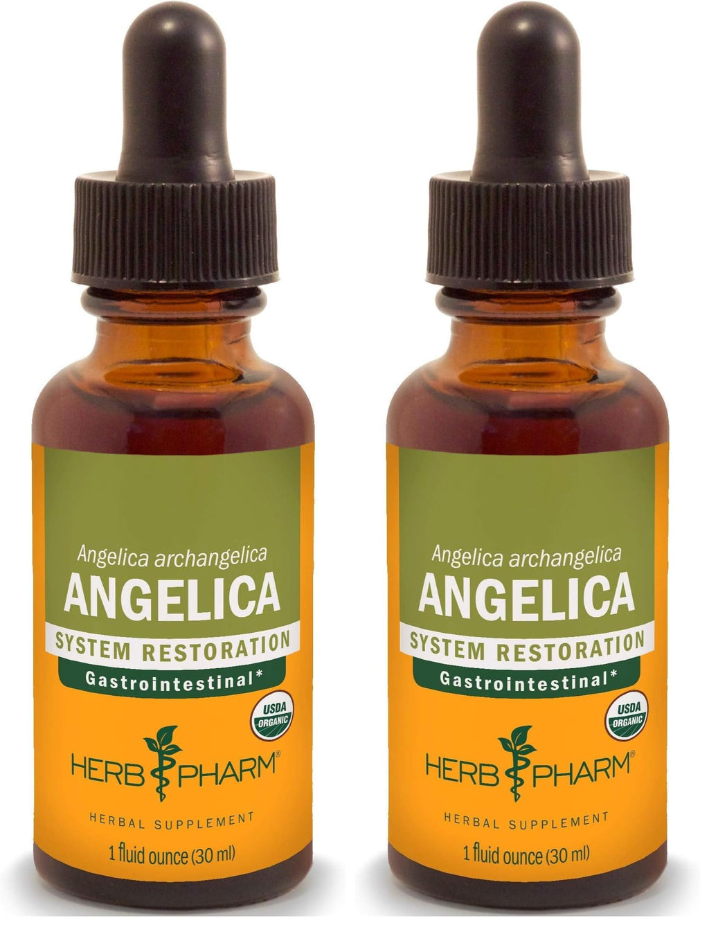 organic angelica root extract for digestion