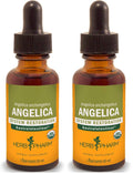 organic angelica root extract for digestion