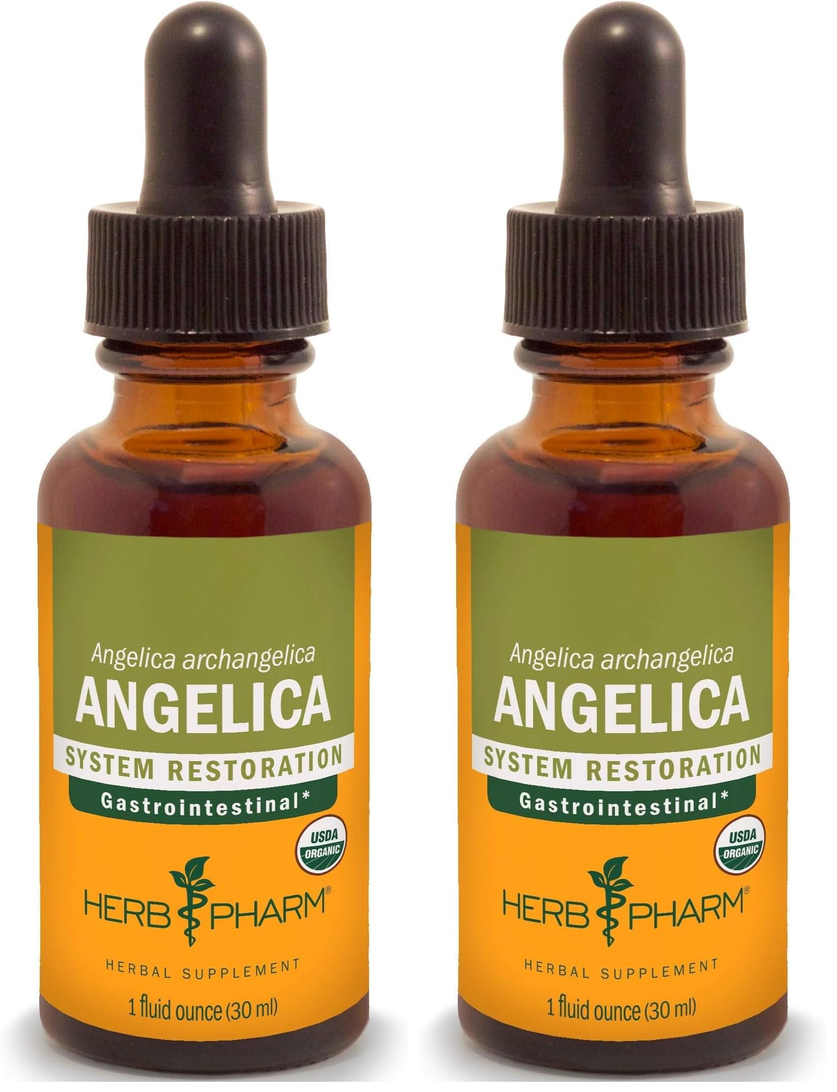 organic angelica root extract for digestion