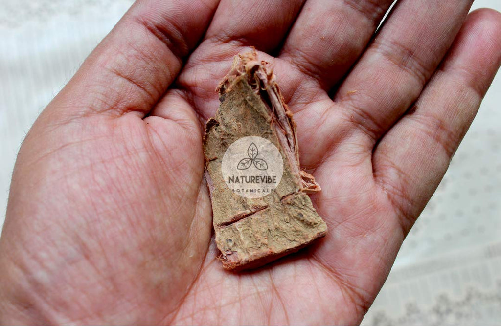 organic arjuna for holistic health