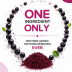 organic aronia berry powder for smoothies