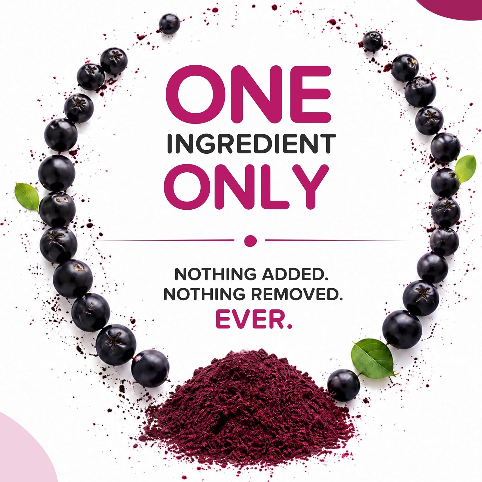 organic aronia berry powder for smoothies