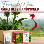 organic artichoke tea for wellness