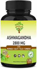 organic ashwagandha capsules for wellness