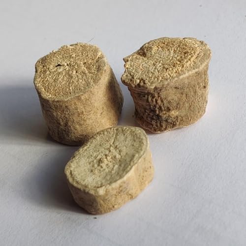 organic ashwagandha for holistic health