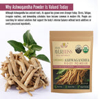 Organic Ashwagandha for immune support