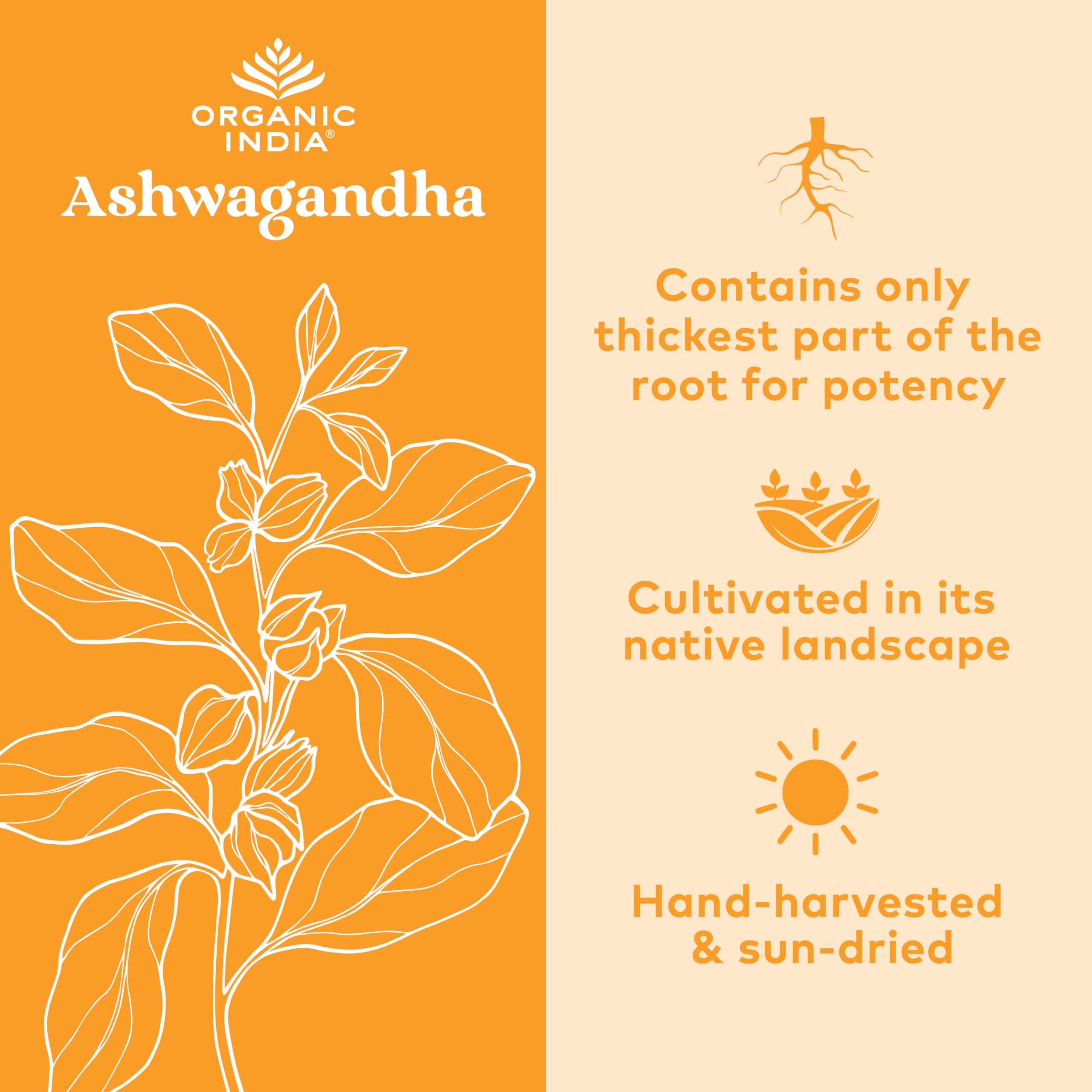 organic ashwagandha for improved vitality