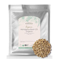 organic astragalus root for wellness