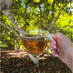 organic avocado leaf tea infusion