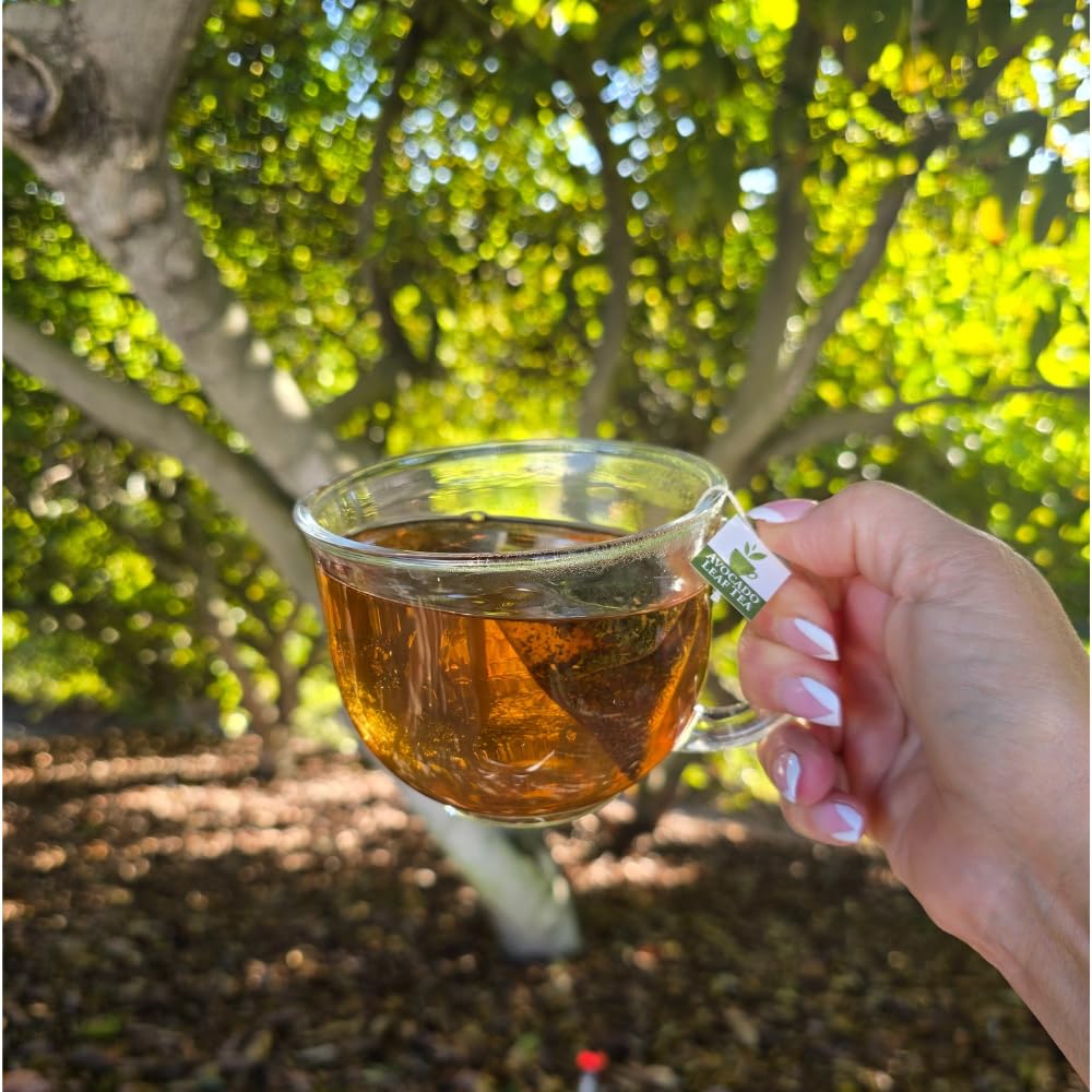 organic avocado leaf tea infusion