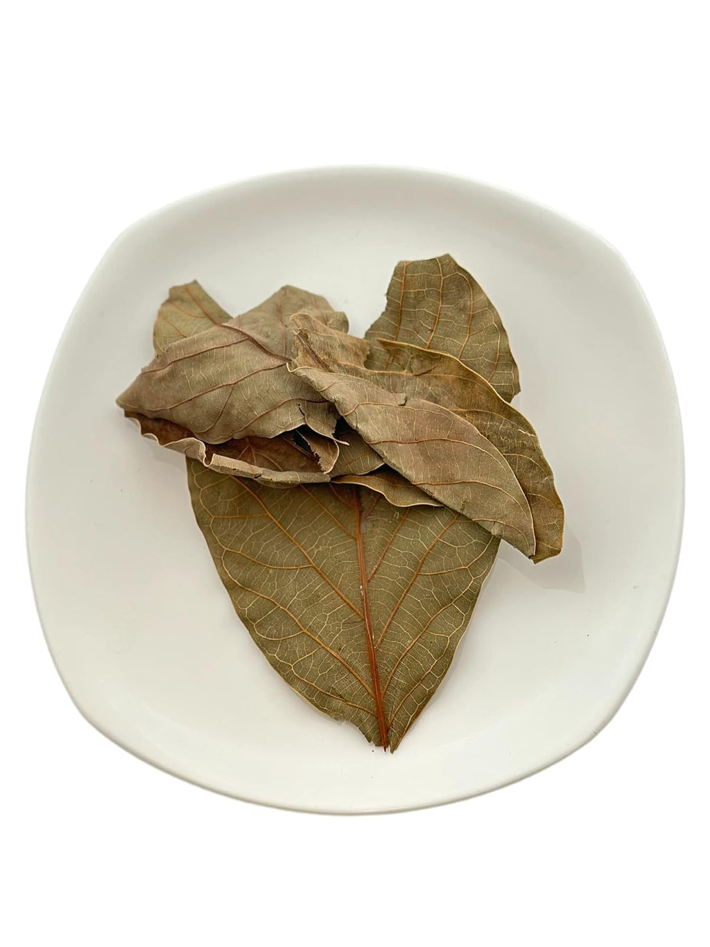 organic avocado leaves for brewing