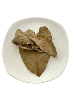 organic avocado leaves for brewing