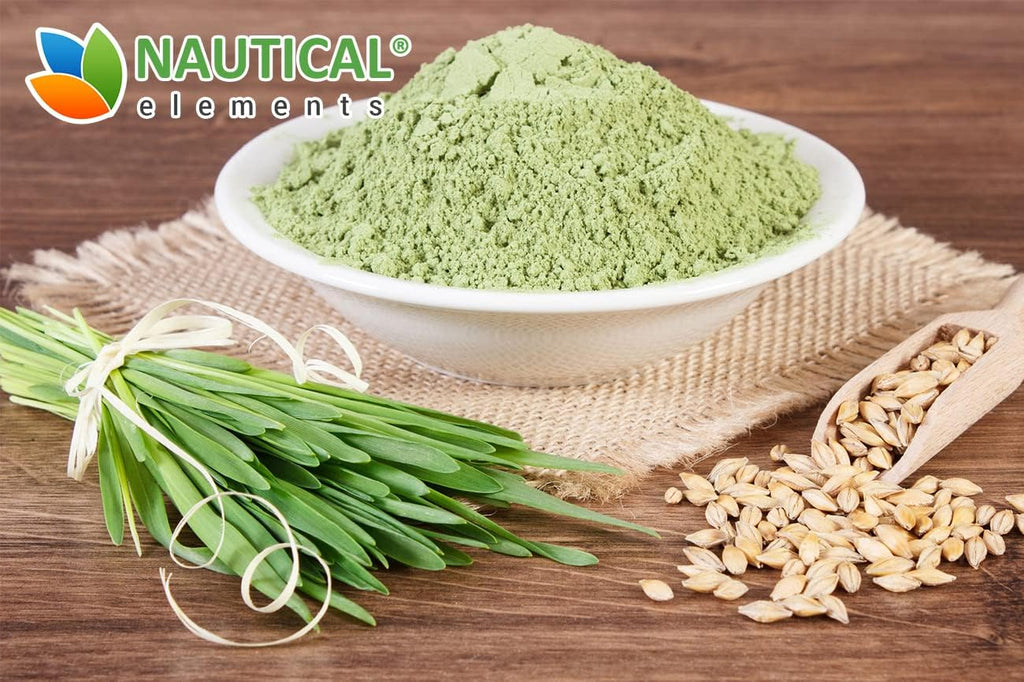 organic barley grass powder benefits