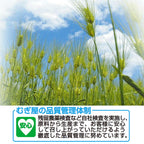Organic barley tea for health
