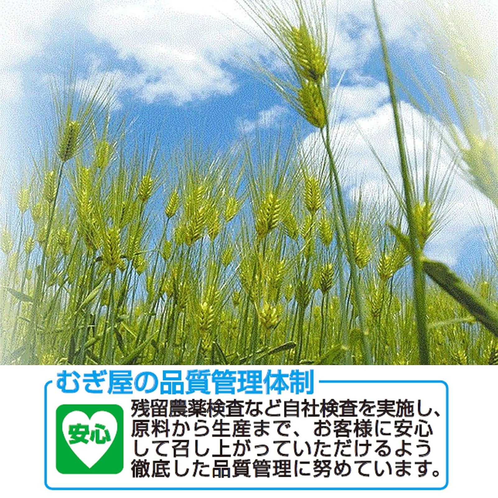 Organic barley tea for health