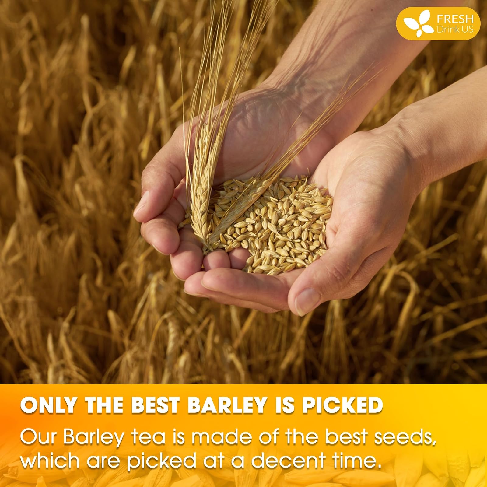 organic barley tea for hydration