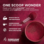 organic beet powder for healthy drinks
