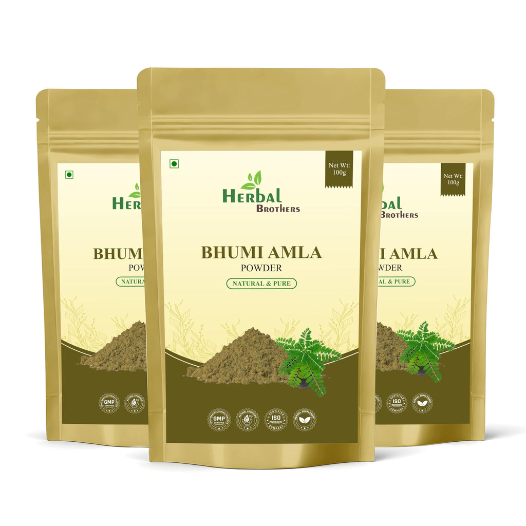 organic Bhumi Amla powder supplement