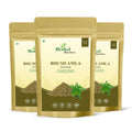organic Bhumi Amla powder supplement