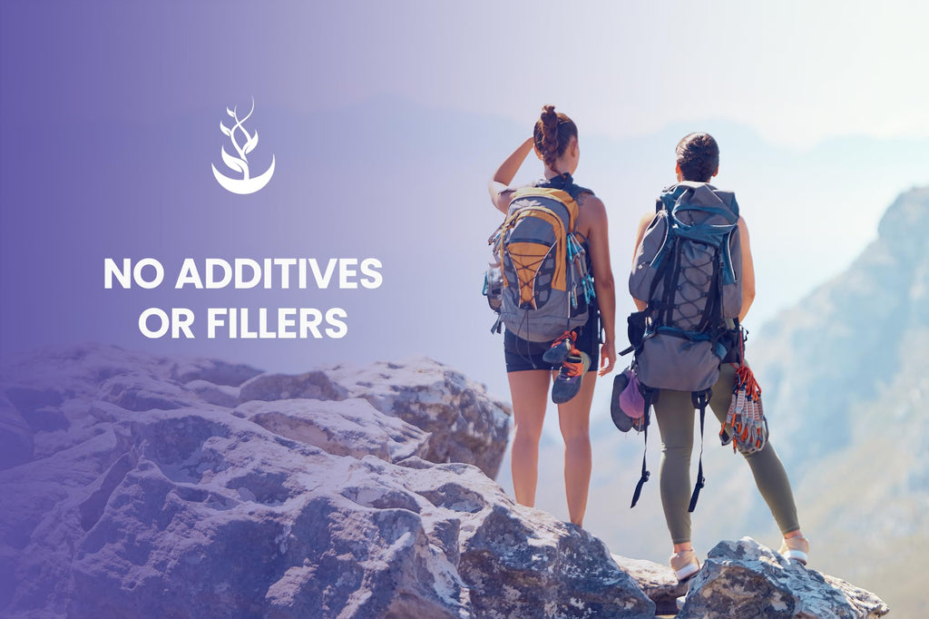 organic bilberry extract capsules