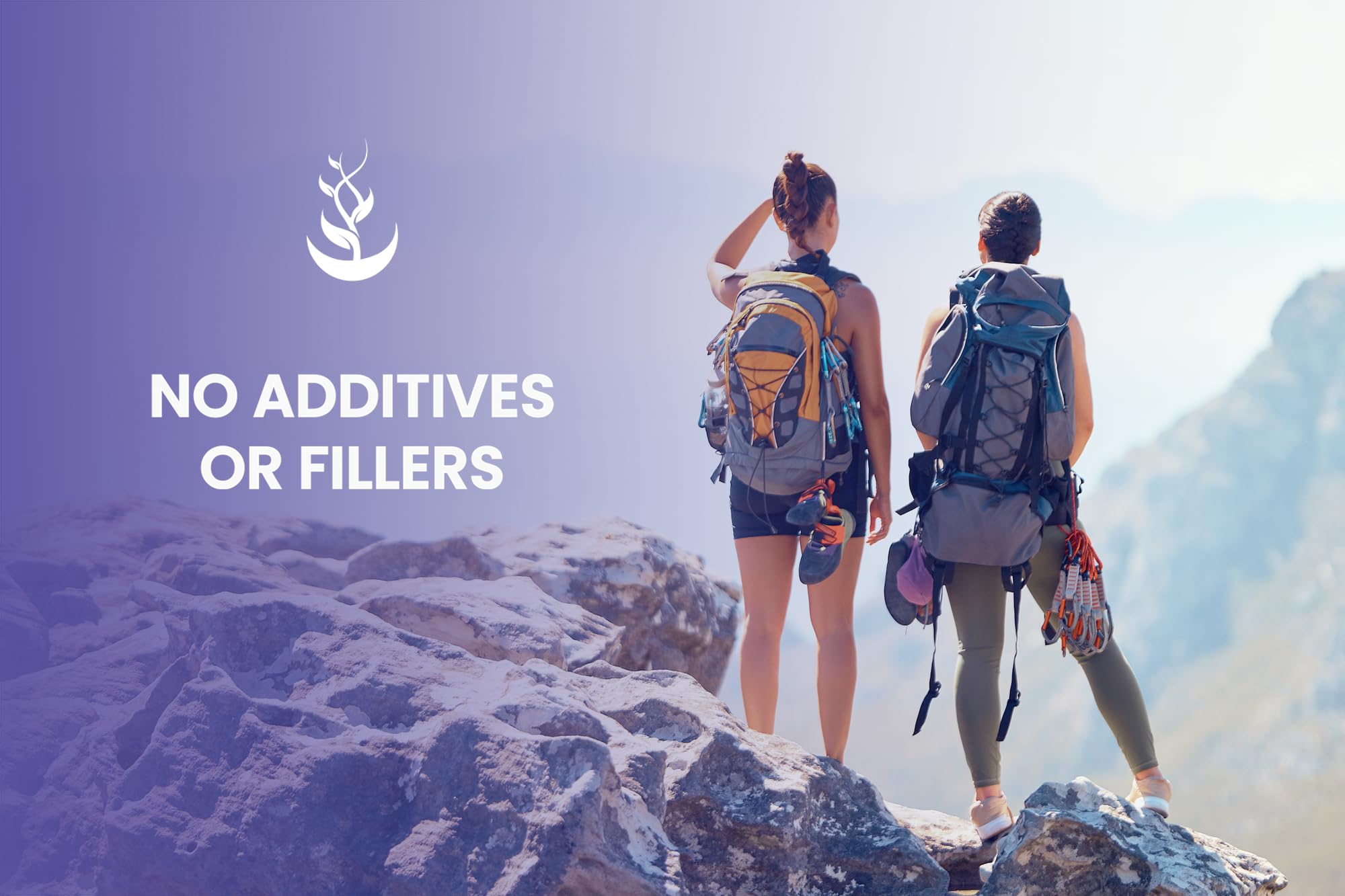 organic bilberry extract capsules