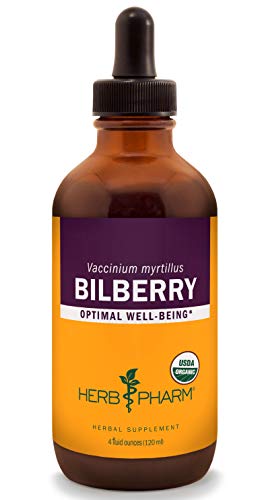 organic bilberry for eye health