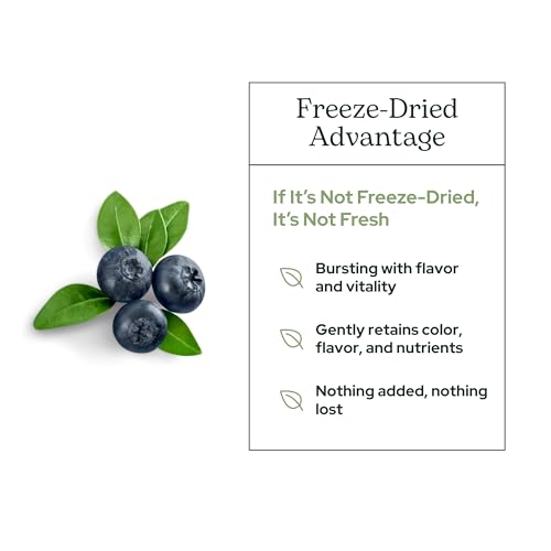 organic bilberry for immune support