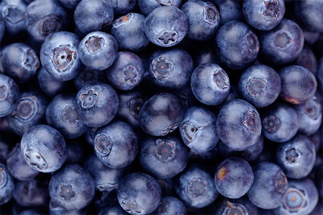 organic bilberry supplement with no fillers