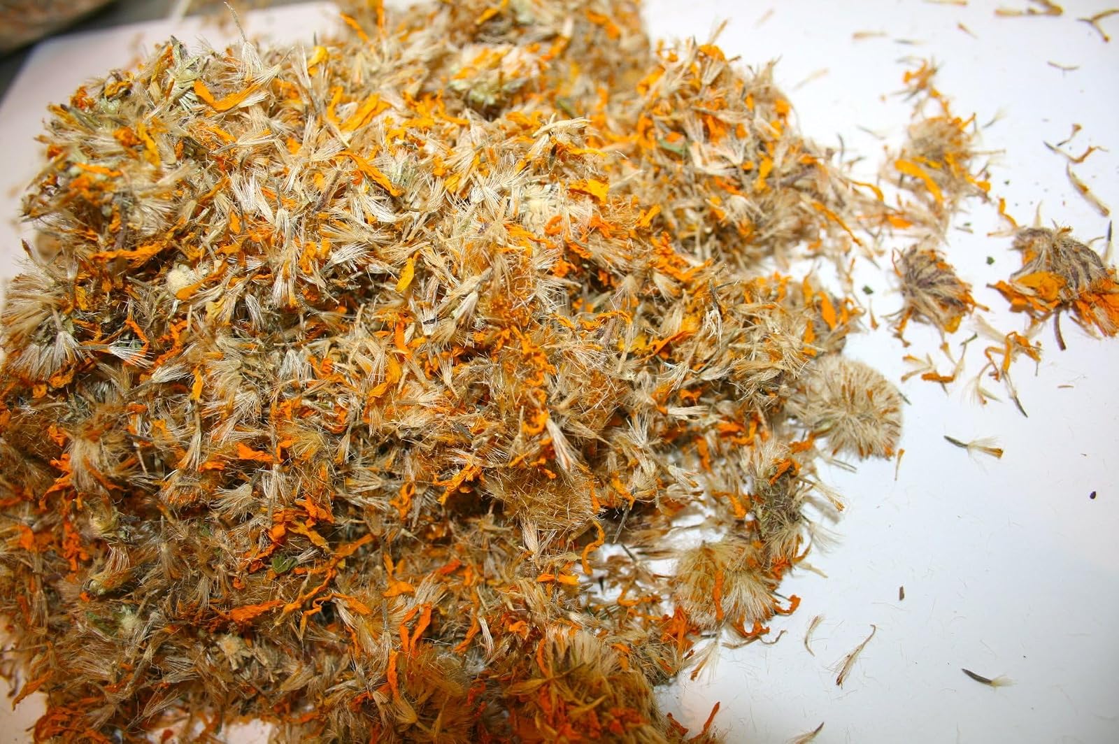 Organic Bio Herbs Arnica tea
