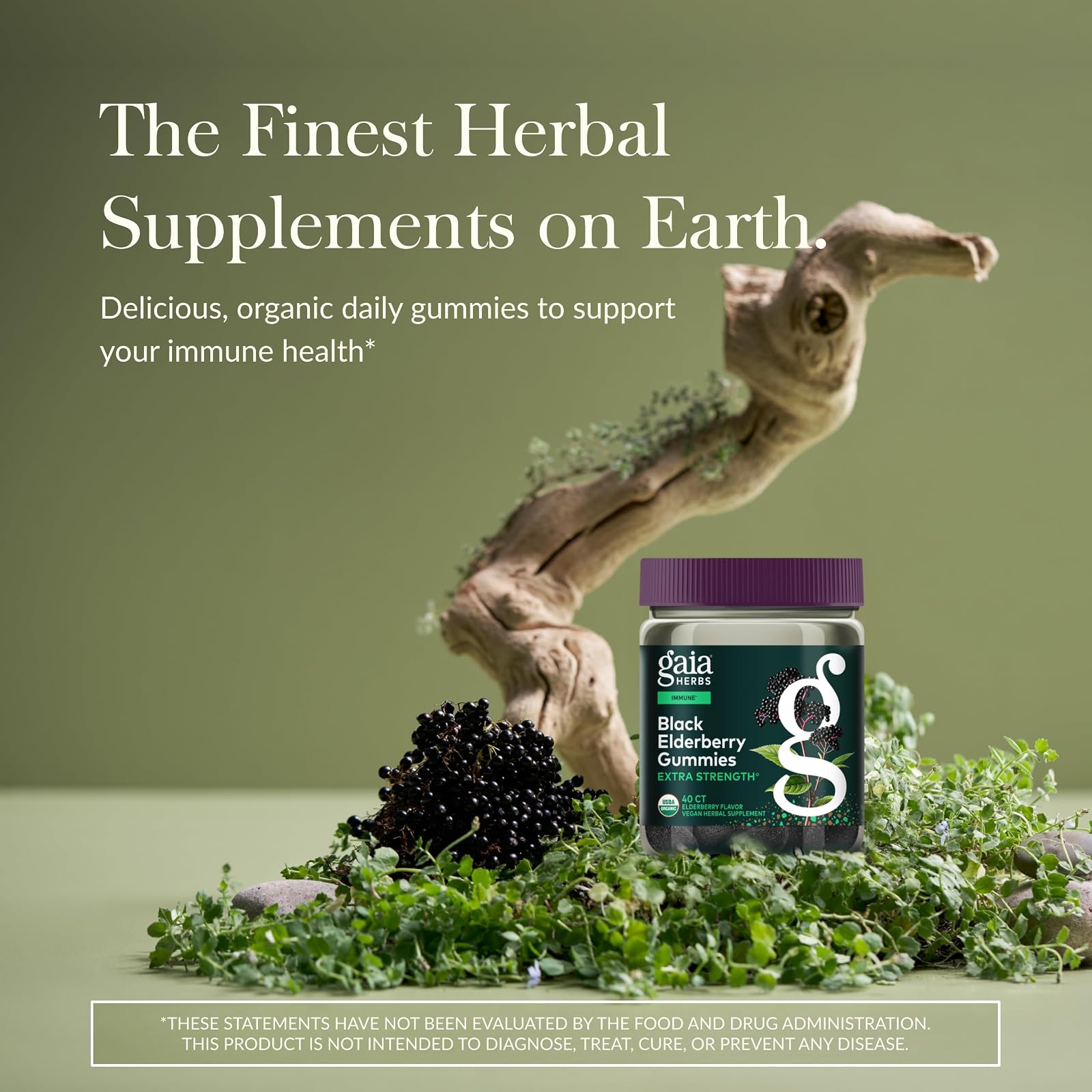 organic black elderberry for immunity