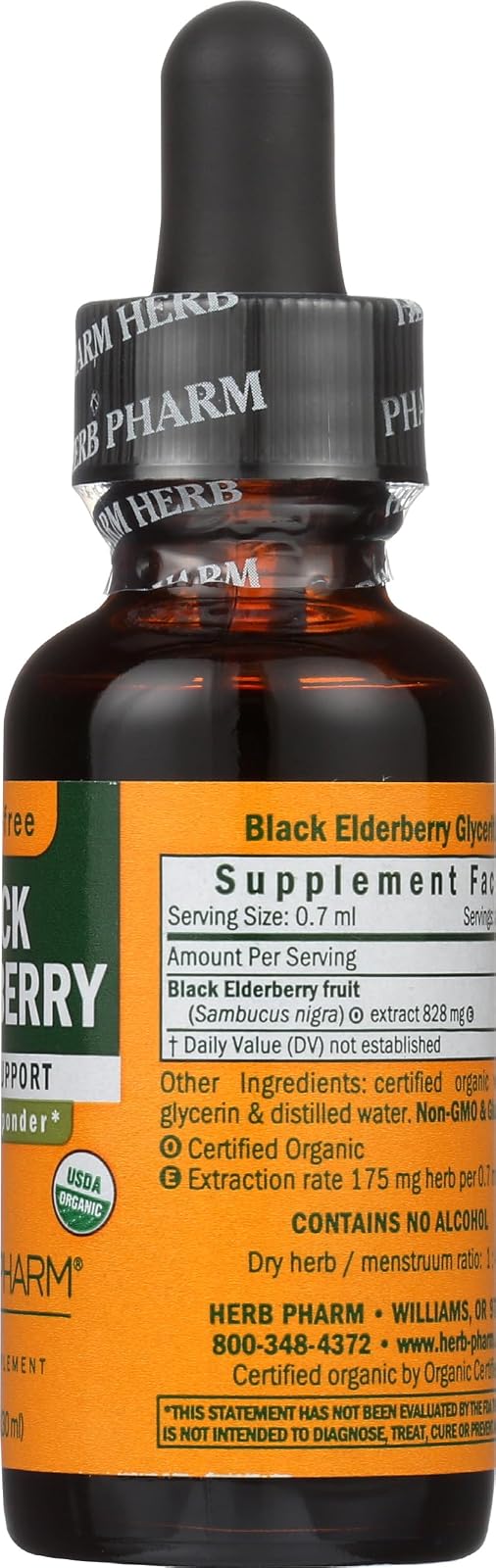 organic black elderberry for seasonal health