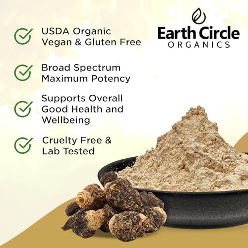 Organic black maca powder for energy