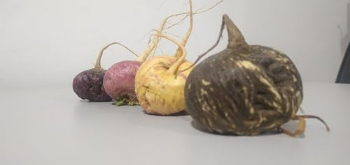 organic black maca powder nutrition